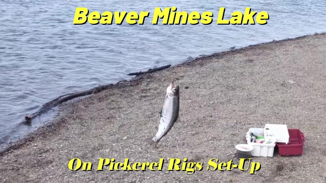 Beaver Mines Lake On Pickerel Rigs Trout Fishing ( Madaling Panghuli ...