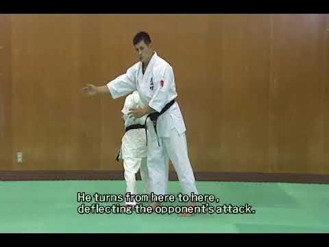Kyokushin Kata Explanation - Juji Kata - YouTube