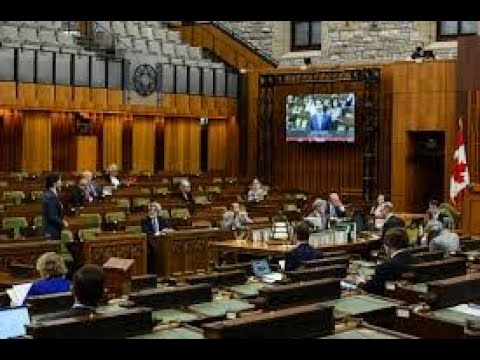 house of Common - YouTube