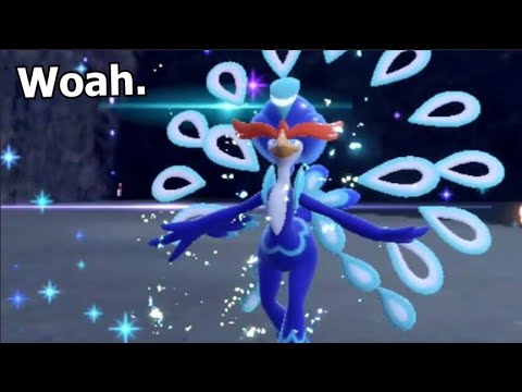 Reacting to Quaxly's final evolution (Quaquavel) (Pokémon Scarlet and ...