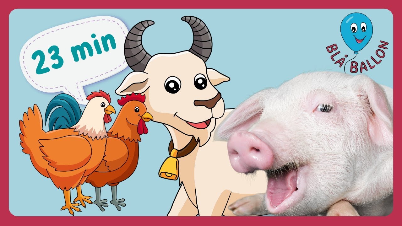 23 MINUTTER: 3 bondegårdsdyr. Sød dyrefilm for børn. Gris. Ged. Høns ...