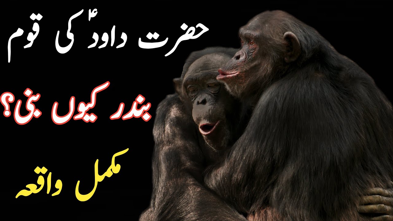 Why Did Dawood AS Ummah Become Monkeys? | David | Full Story | Nasir ...