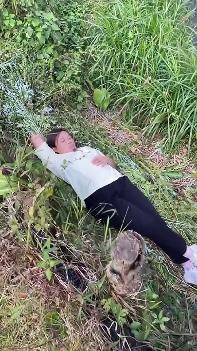 虽然我们很穷，但我们很幸福。我们可能没有多少物质上的财产，但我们有丰富的爱和欢笑。我们的父母努力工作来养活我们，我们感激他们所做的一切。 Youtube