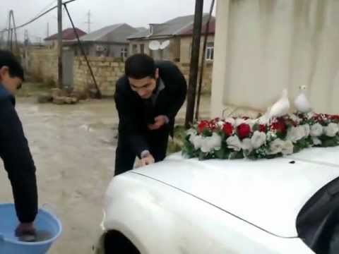 Rewadin toy gunu)))