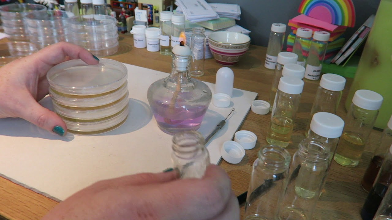 Pouring Plates. Aseptic technique for microbiology - YouTube