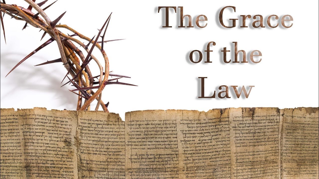 Matt Nappier - The Grace of the Law - YouTube