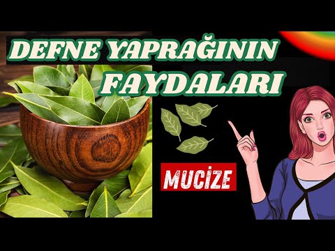 Defne Yaprağının Şaşırtıcı Faydaları ! Defne Yaprağı Ne İşe Yarar ? Defne Yaprağı Çayı Tarifi