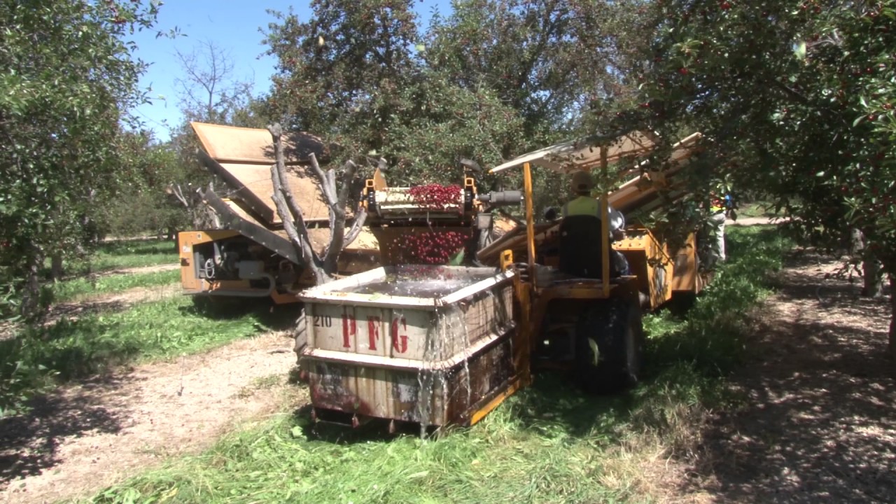 Ray Rowley - Cherry Hill Farms, Santaquin UT - YouTube