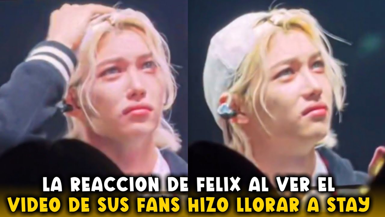 LA REACCIÓN DE FELIX AL VER EL VIDEO DE SUS FANS HIZO LLORAR A STAY ...