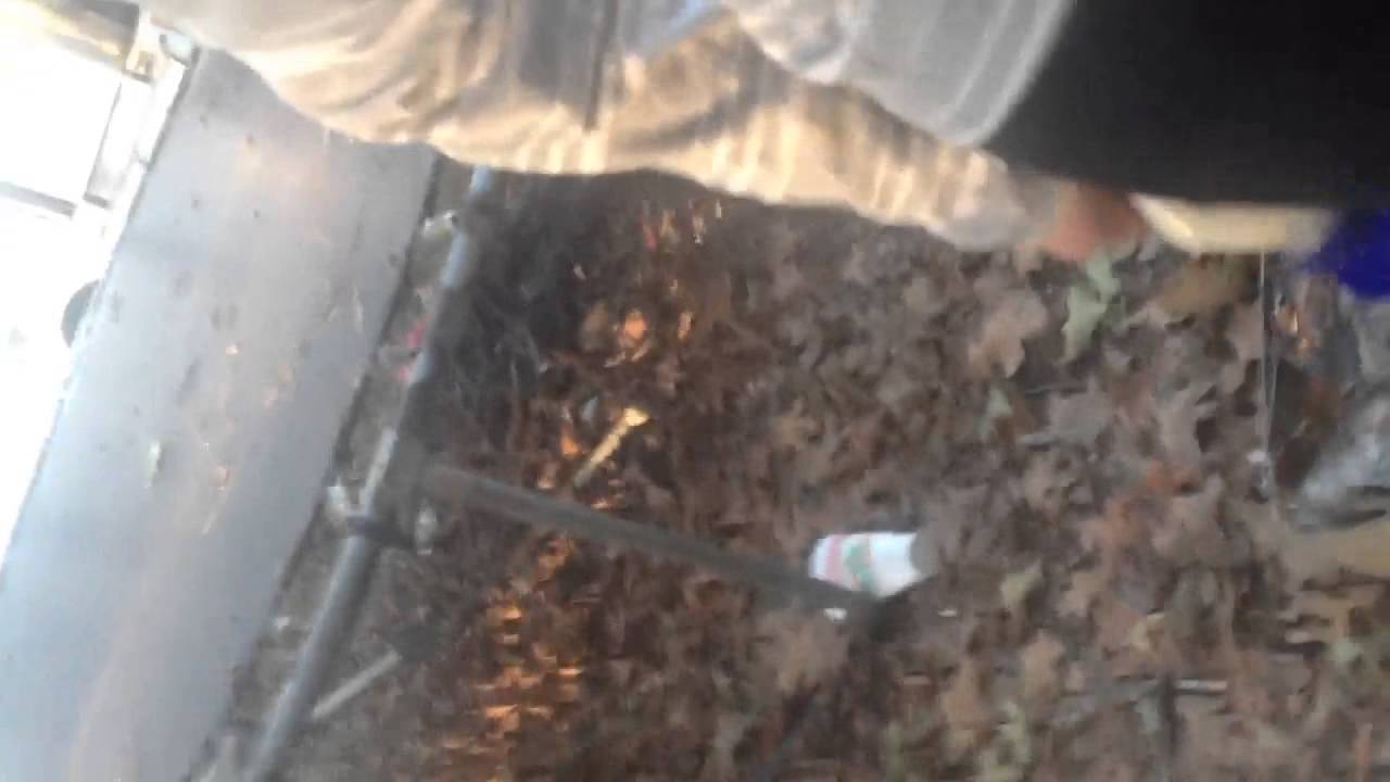 Shitting out the window lmfao - YouTube