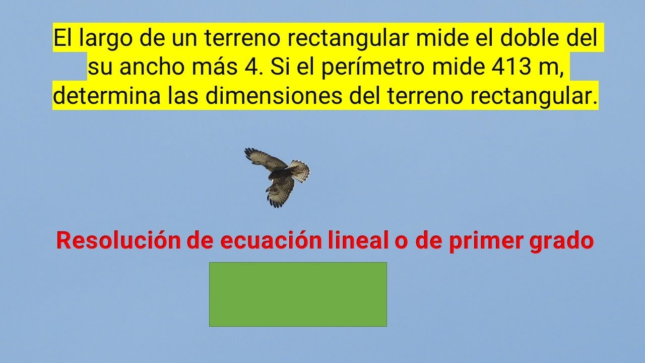 Perímetro de un terreno rectangular con lados desconocidos. #álgebra ...