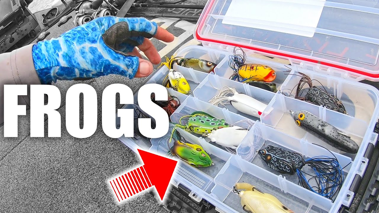 FROG FISHING - WHAT Lure Type to use WHEN??? - YouTube