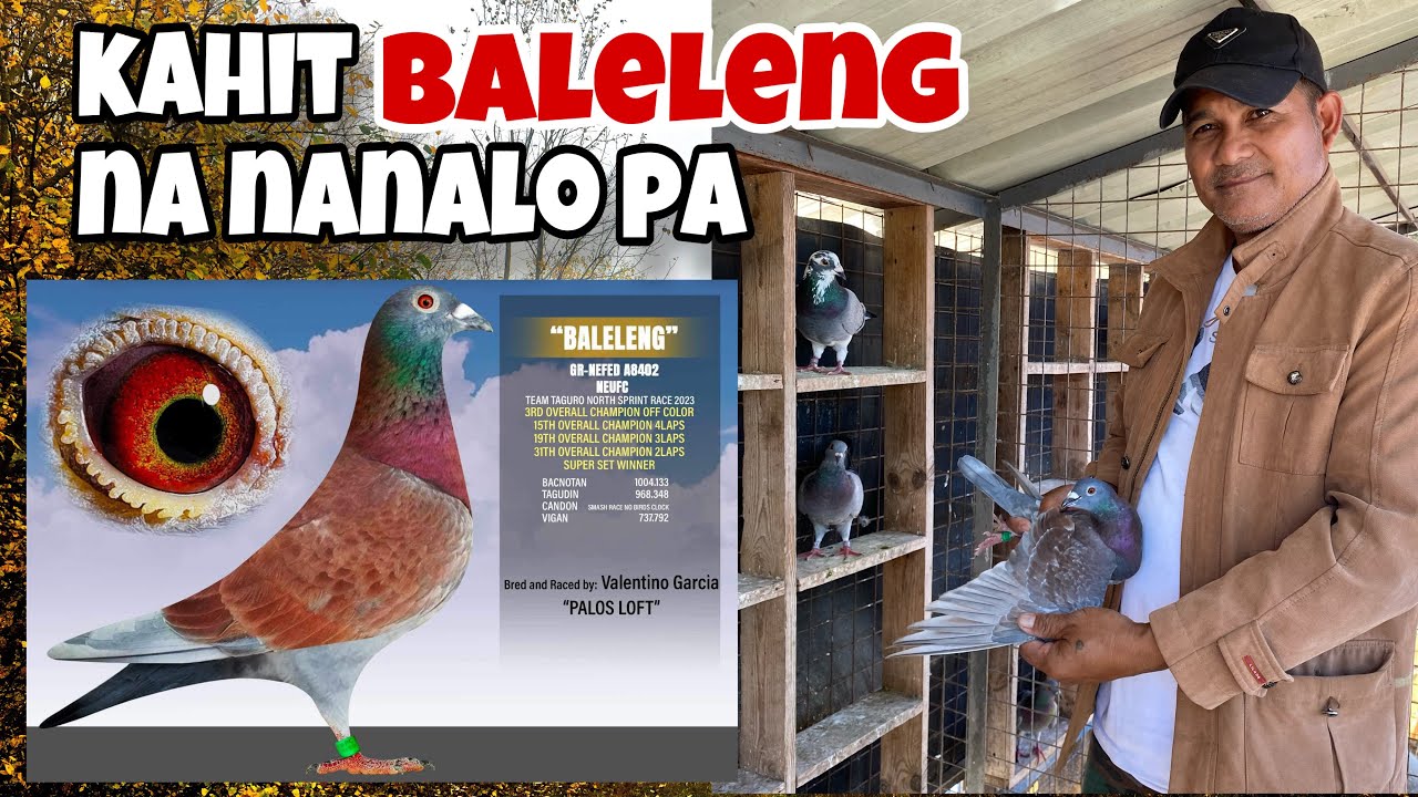 LOFT VISIT KAY PALOS LOFT - VALENTINO GARCIA |Reggie Cruz Loft & Aviary #reggiecruzloftandaviary ...