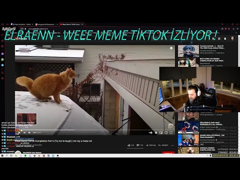 ELRAENN - WEEE MEME TİKTOK İZLİYOR !