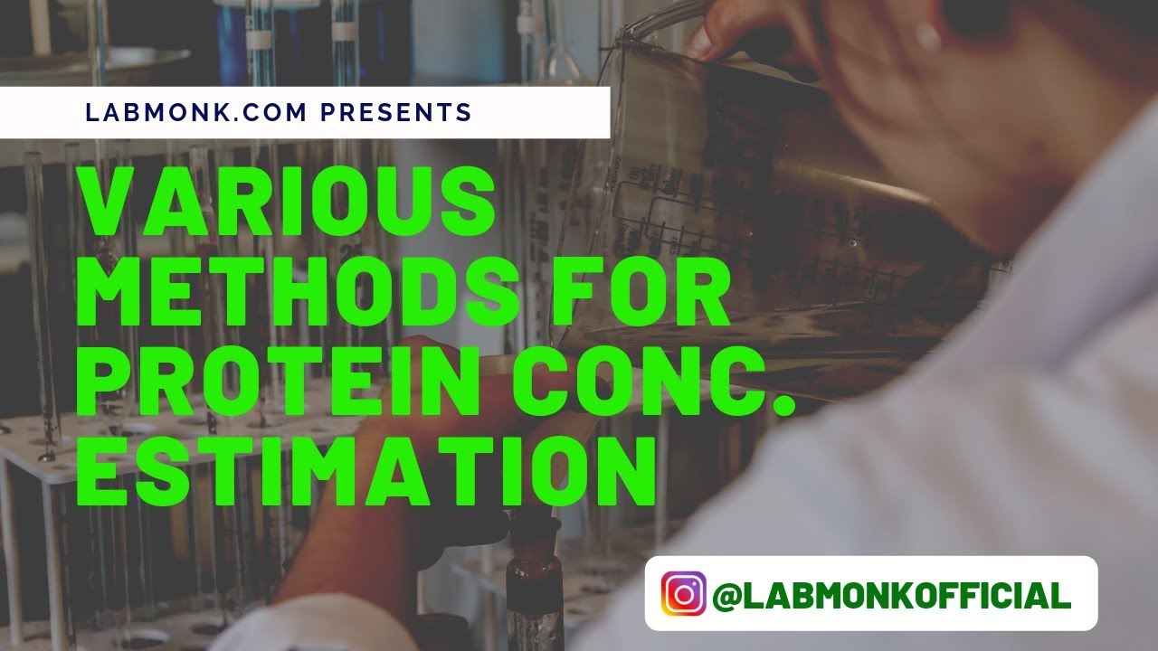Various Methods for Estimation of Protein Concentration l Biochemistry ...