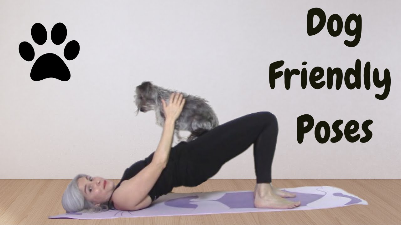 4 Yoga Poses To Do With Your Dog/Dog Yoga Poses - YouTube