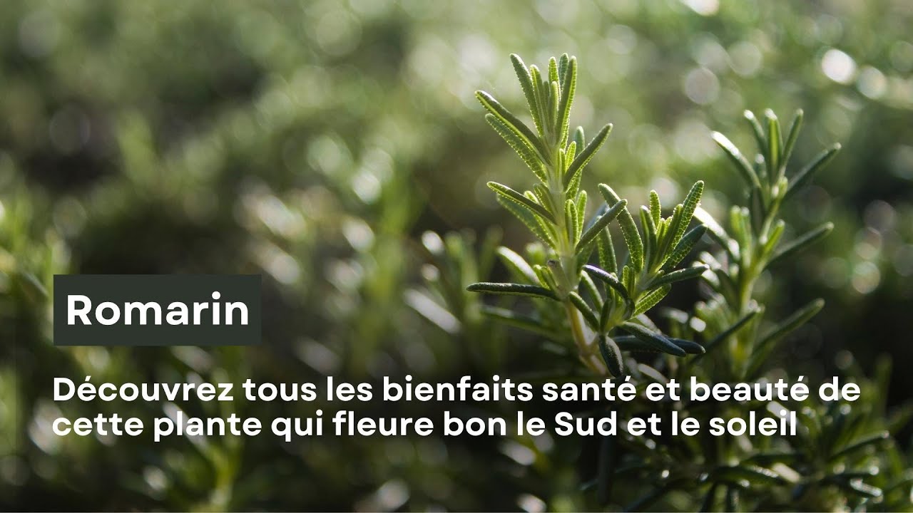 Découvrez tous les bienfaits du romarin - YouTube