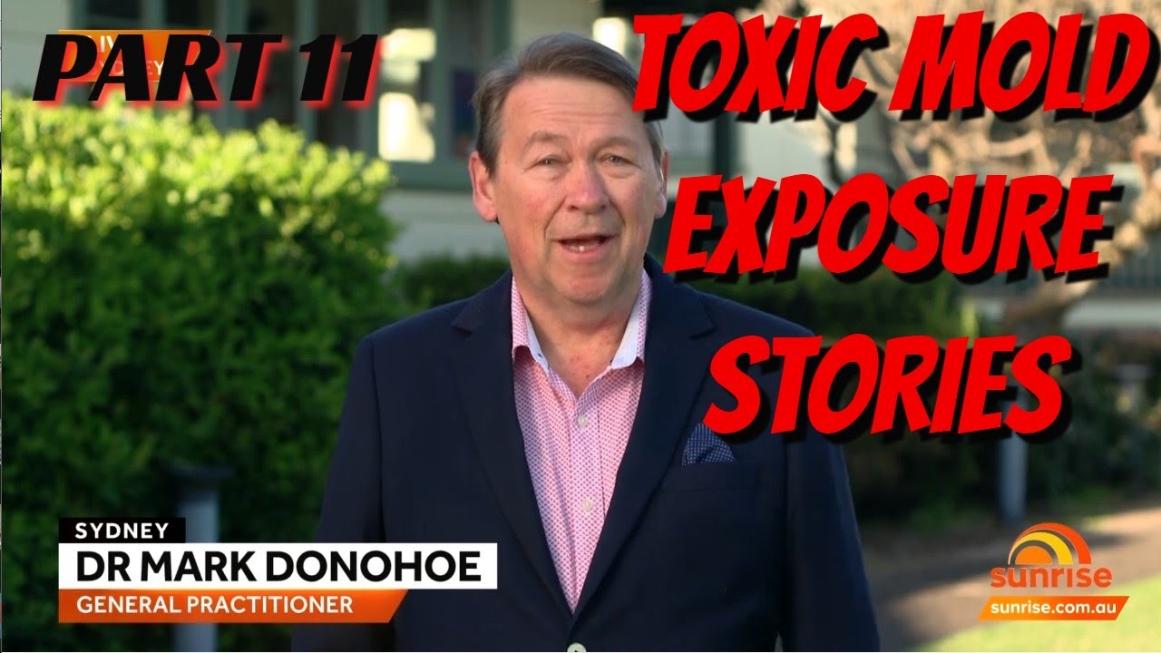 Toxic Mold Exposure Stories: In The Media PART 11 - YouTube