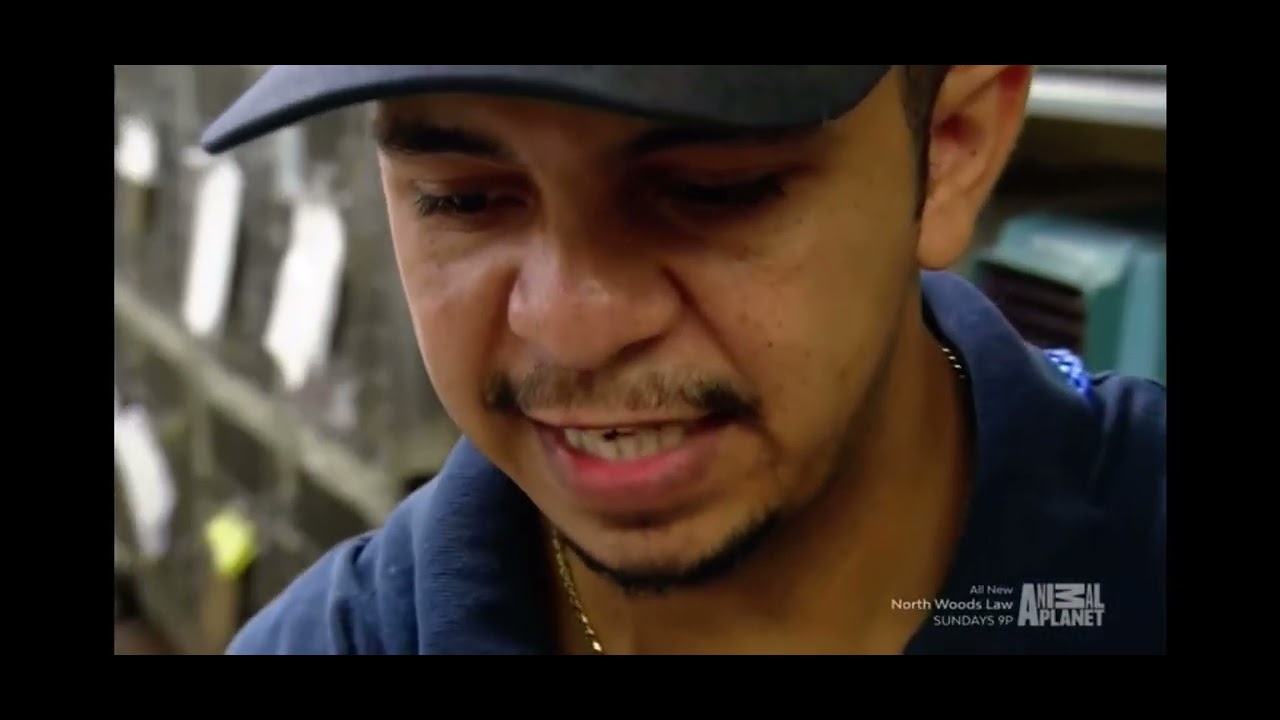 animal cops Philadelphia s1e7 - YouTube