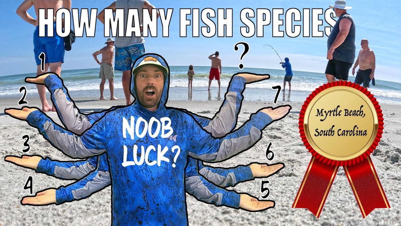 Wicked Catch Myrtle Beach Surf & Pier Fishing | 8 multi-species day ...