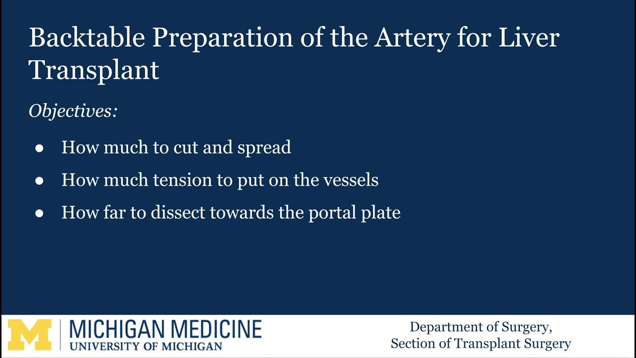 Backtable Preparation of the Artery for Liver Transplant - YouTube