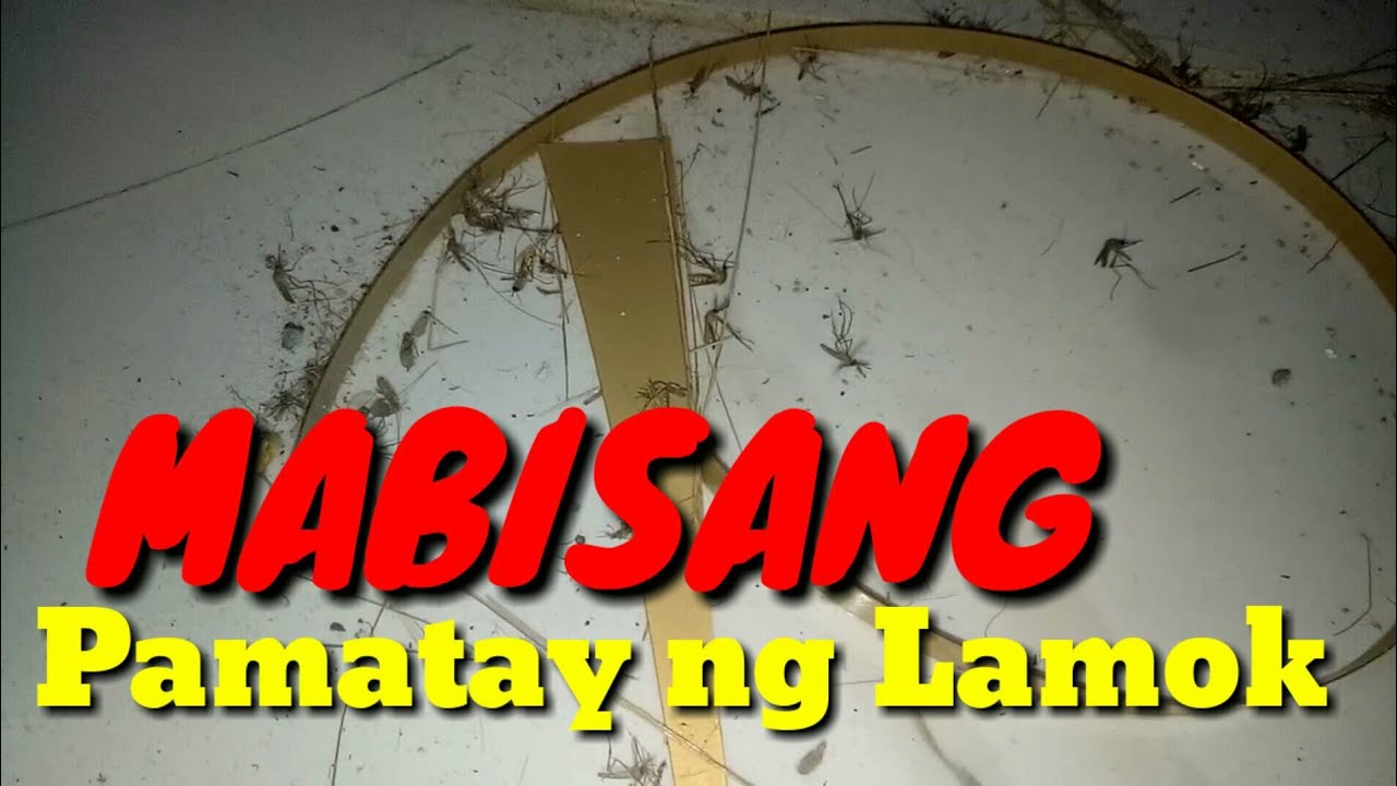 Mabisang Pamatay ng lamok#LAMOK #insekto - YouTube