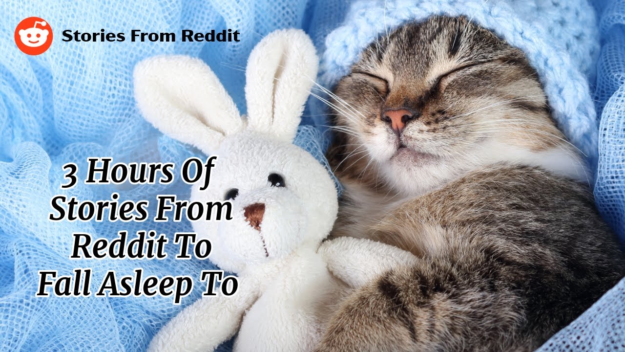 Reddit stories for bedtime! - YouTube