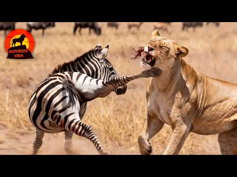 SAVANA SELVAGEM | A Batalha dos Gigantes Mais Violentos #animaisselvagens | Natureza Vida