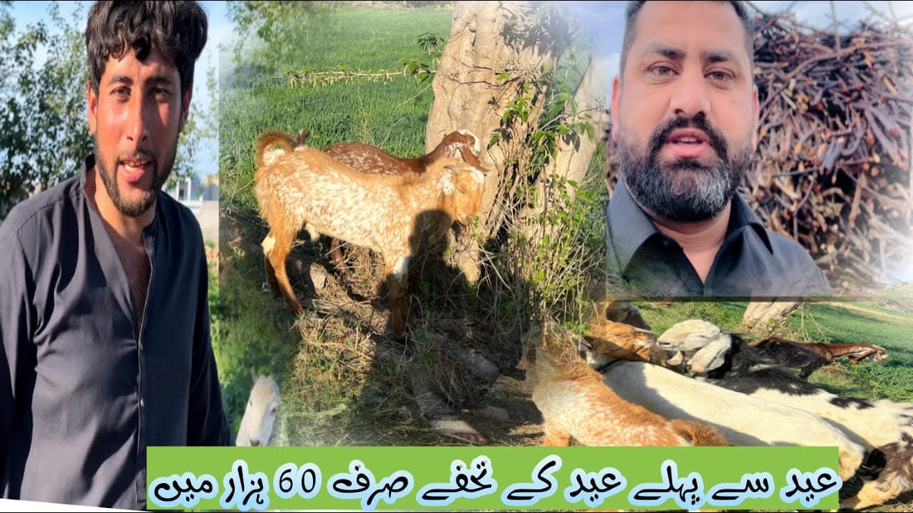 Eid Say Pehlay Eid Kay Toofay 60000 ma - YouTube