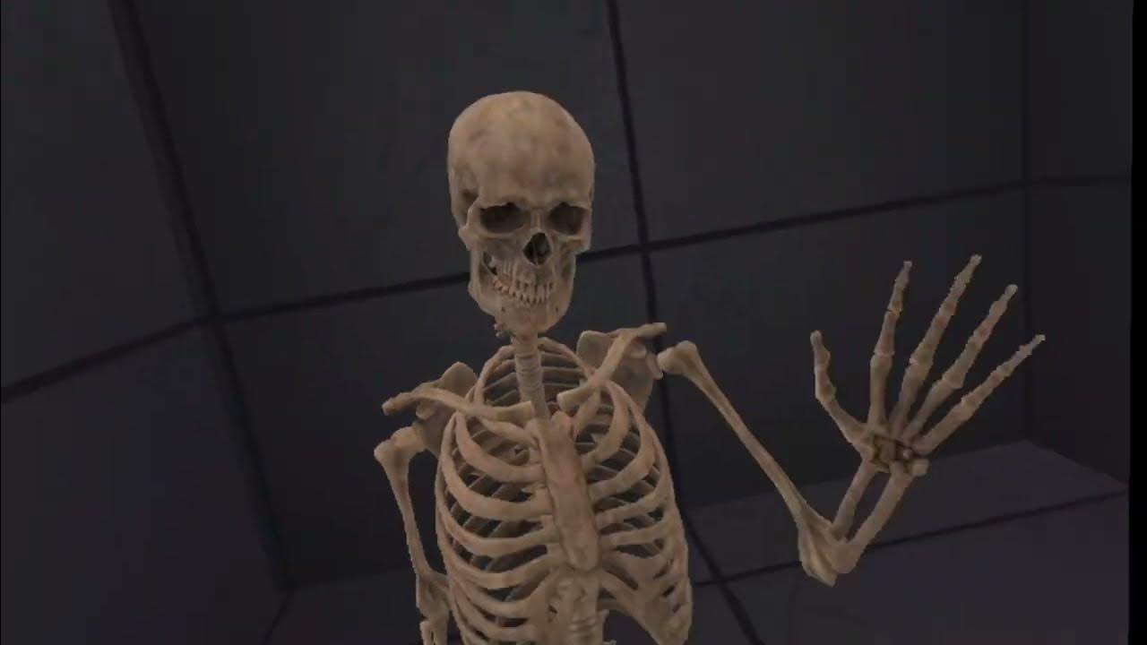 Bonelab as a skeleton? - YouTube