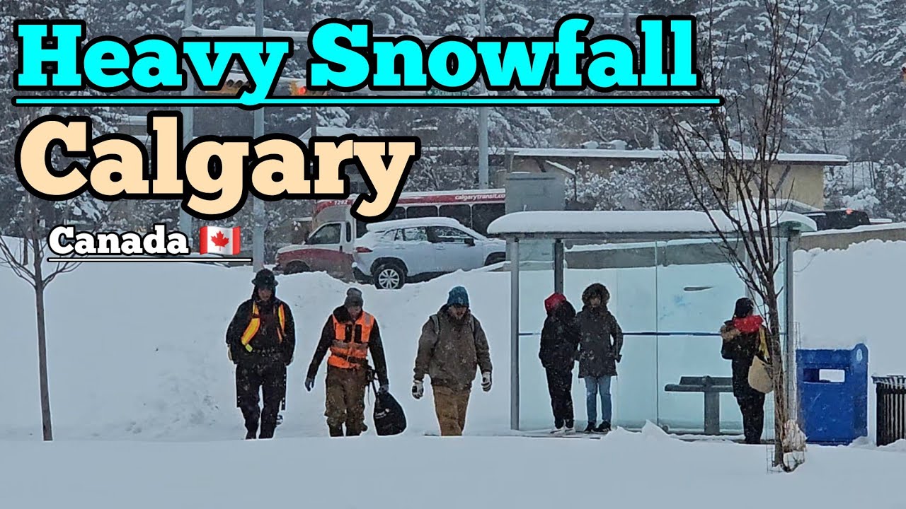 Heavy Snowfall and Freezing Cold in Calgary Alberta Canada 🇨🇦 #canada # ...