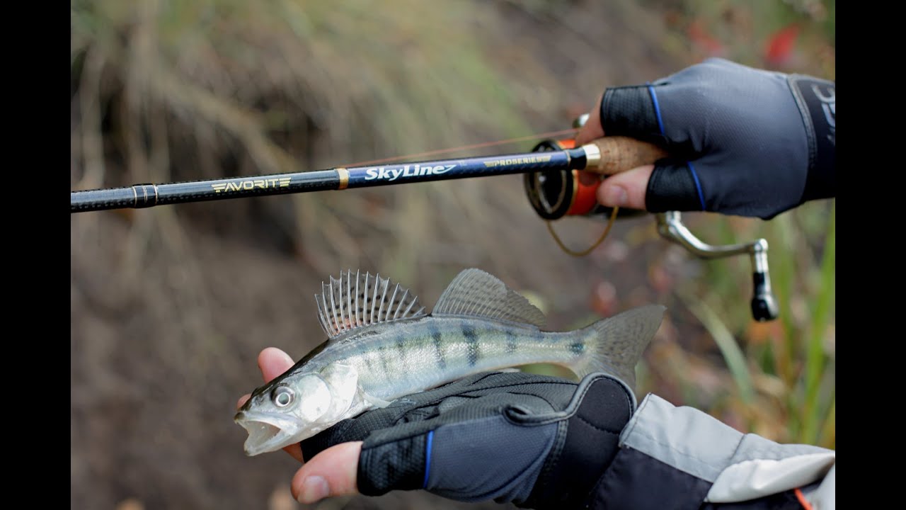 Favorite Skyline TZ NEW SKYTZ-862ML 2.58m 5-18g Ex.Fast - YouTube