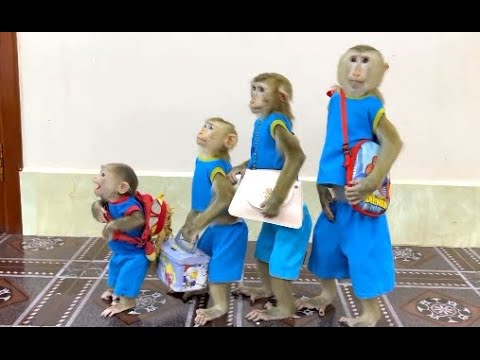 Most Impatient Little Kobie Screaming Loud Very Angry Mom For Late Come ...