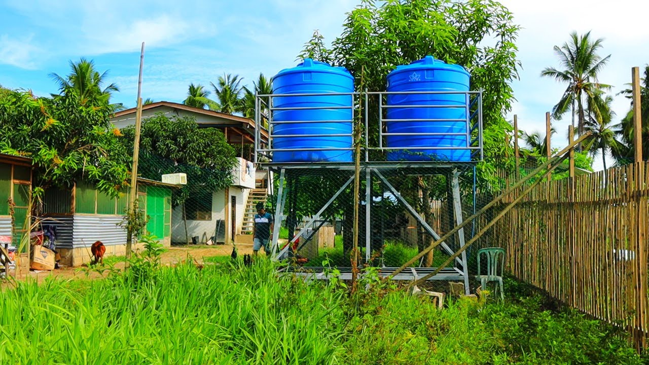Free-range Farming│ Constructing farm water system, Baby koi update ...