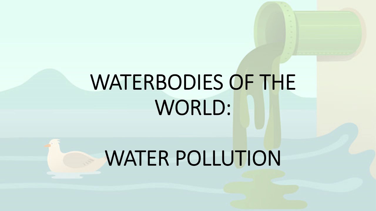 Water Pollution Class VI - YouTube
