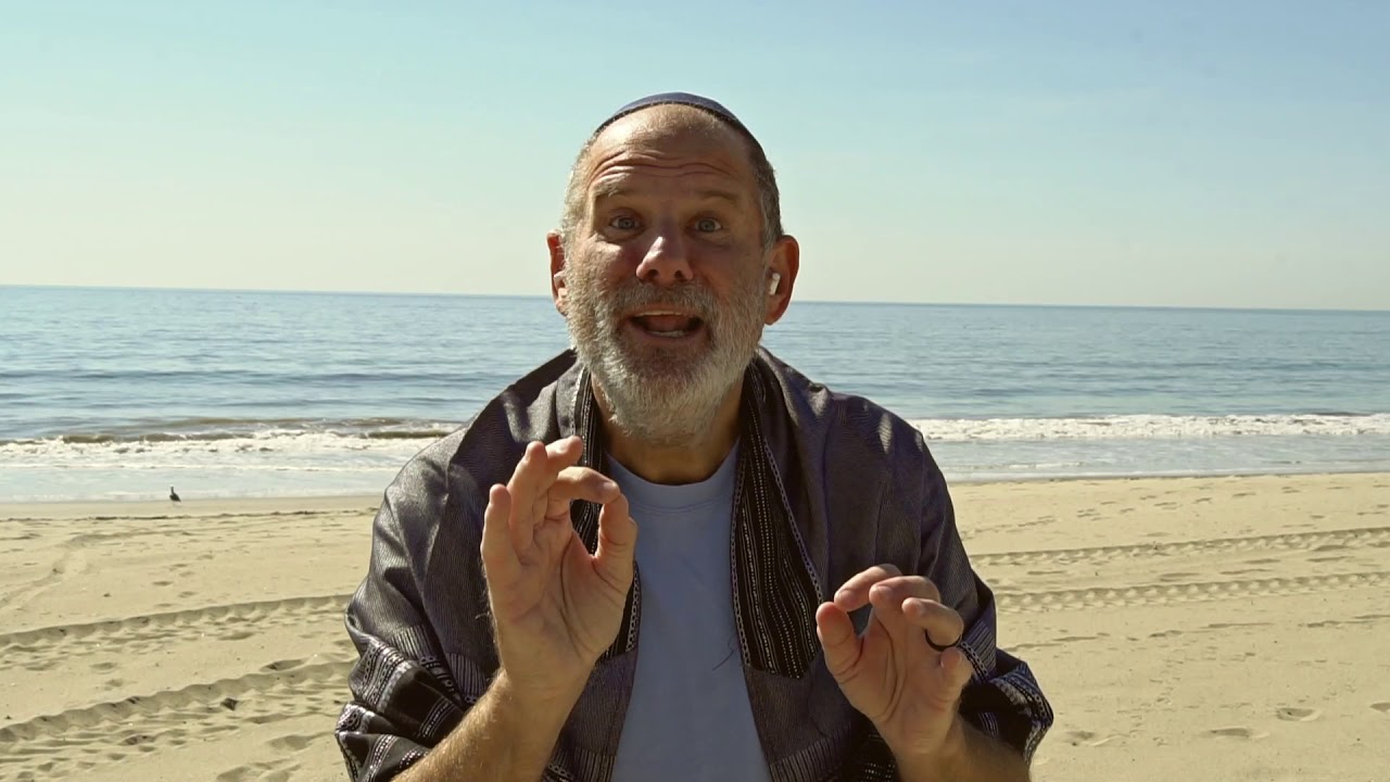 Meir Finkelstein’s Halleluyah Sung by Cantor Chayim Frenkel - YouTube