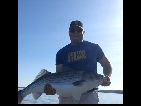 50 pound Rockfish landed! April 18, 2016 Chesapeake Bay fishing - YouTube