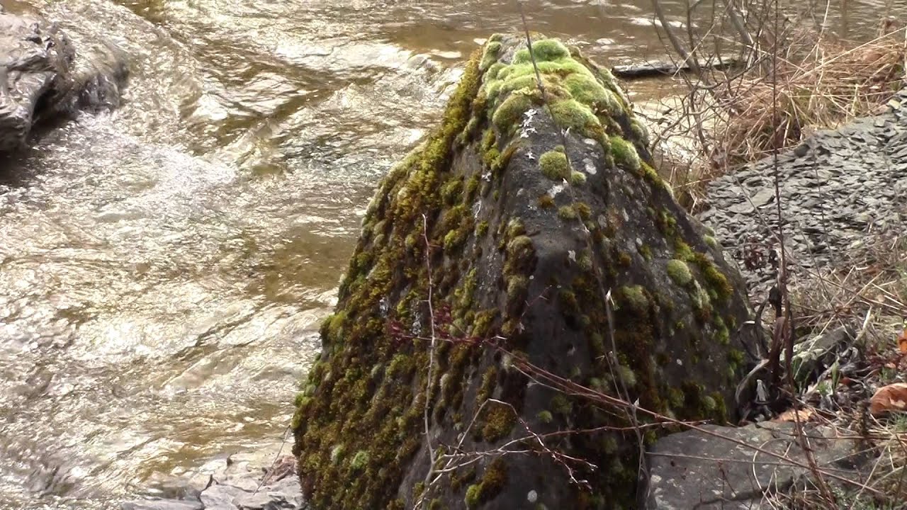 Cistota i snaga vode -REKA "RAVNA"-SELO STRELAC - YouTube