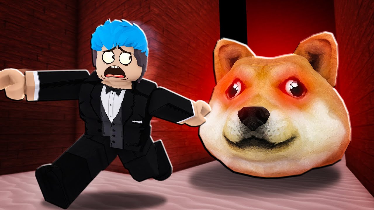 Doge Head | Roblox | I SAVE THE CATS FROM ANGRY DOGE! - YouTube