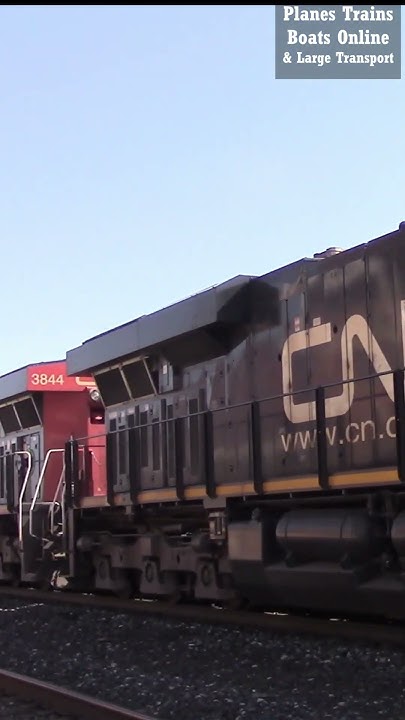 #shorts Manifest Train CN M385 CN 3907 & CN 3844 Locomotives Strathroy Sub #railfans - YouTube