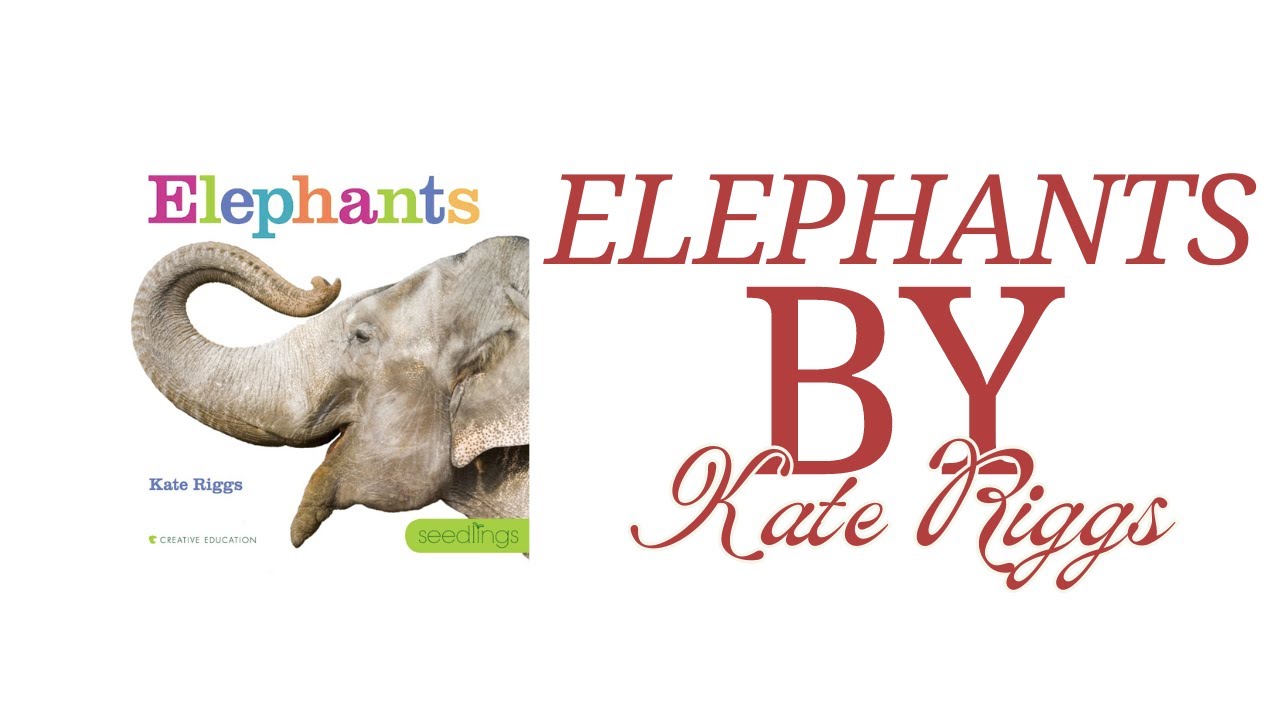Elephants By: Kate Riggs - YouTube