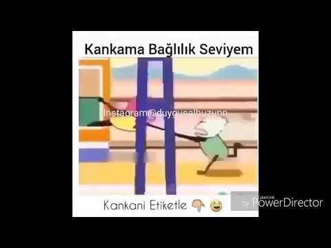 Whatsapp Durumları