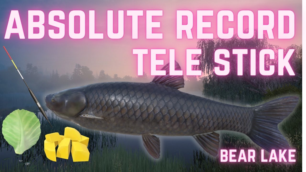 I got the Absolute Record!! - Telestick Black Carp - Russian Fishing 4 Bear Lake! - YouTube