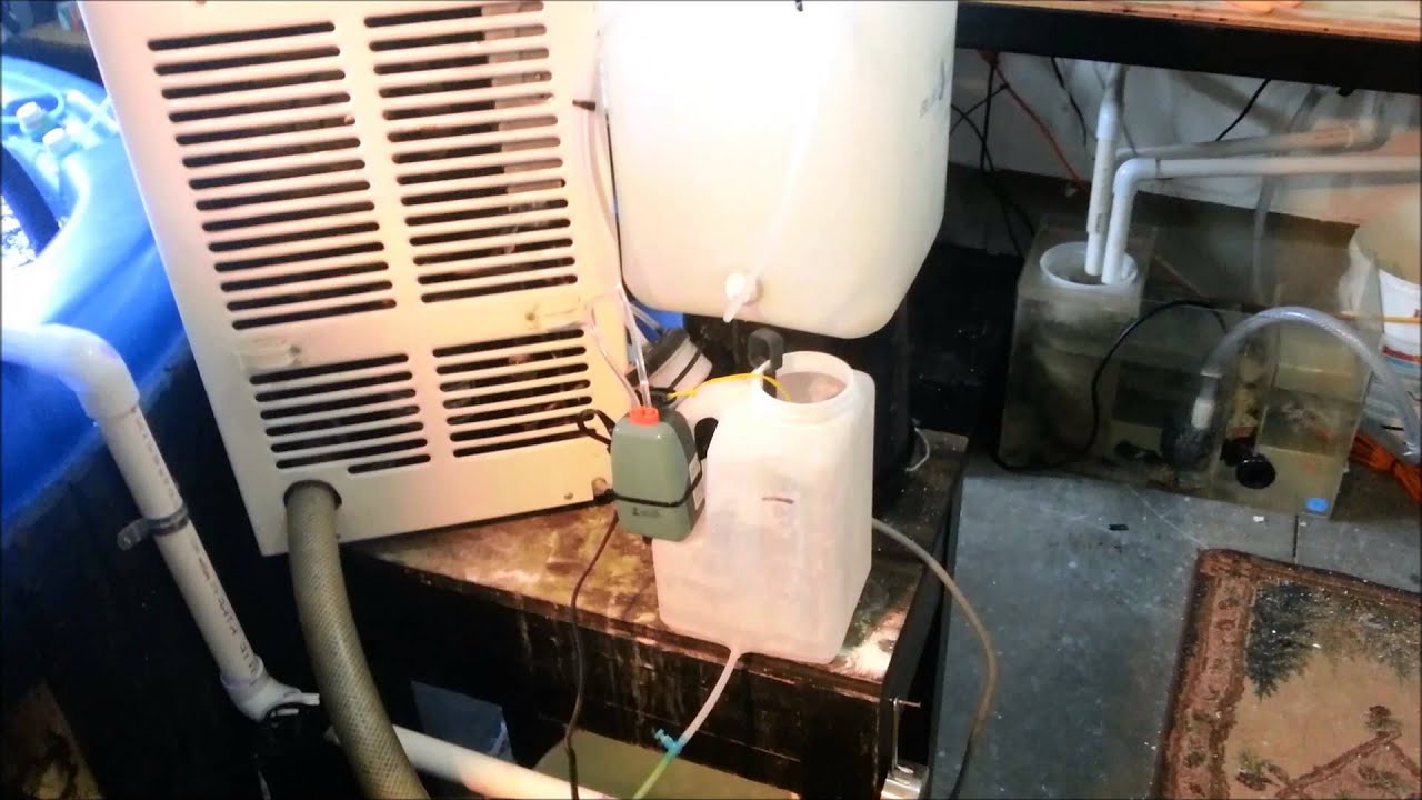 $25 DIY Auto Alk,Kalk,Cal,Mag Doser!!! - YouTube