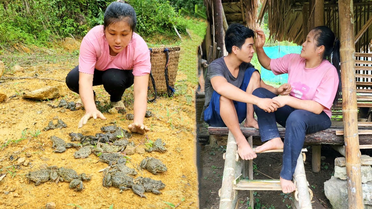 Husband and Wife: how to catch super big frogs in the field ...