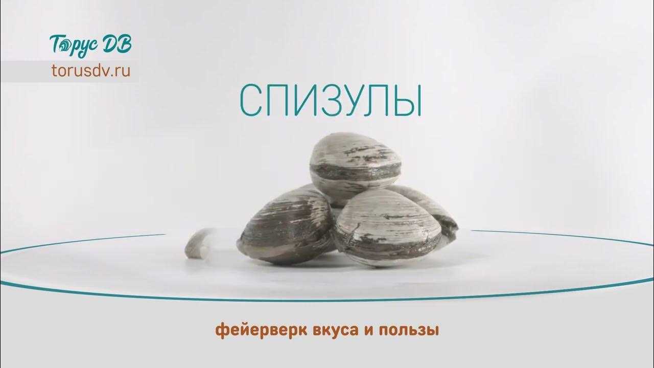 Моллюски от Торус ДВ - YouTube