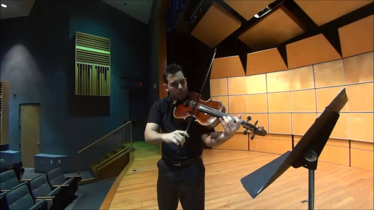 Don Juan viola excerpt - YouTube