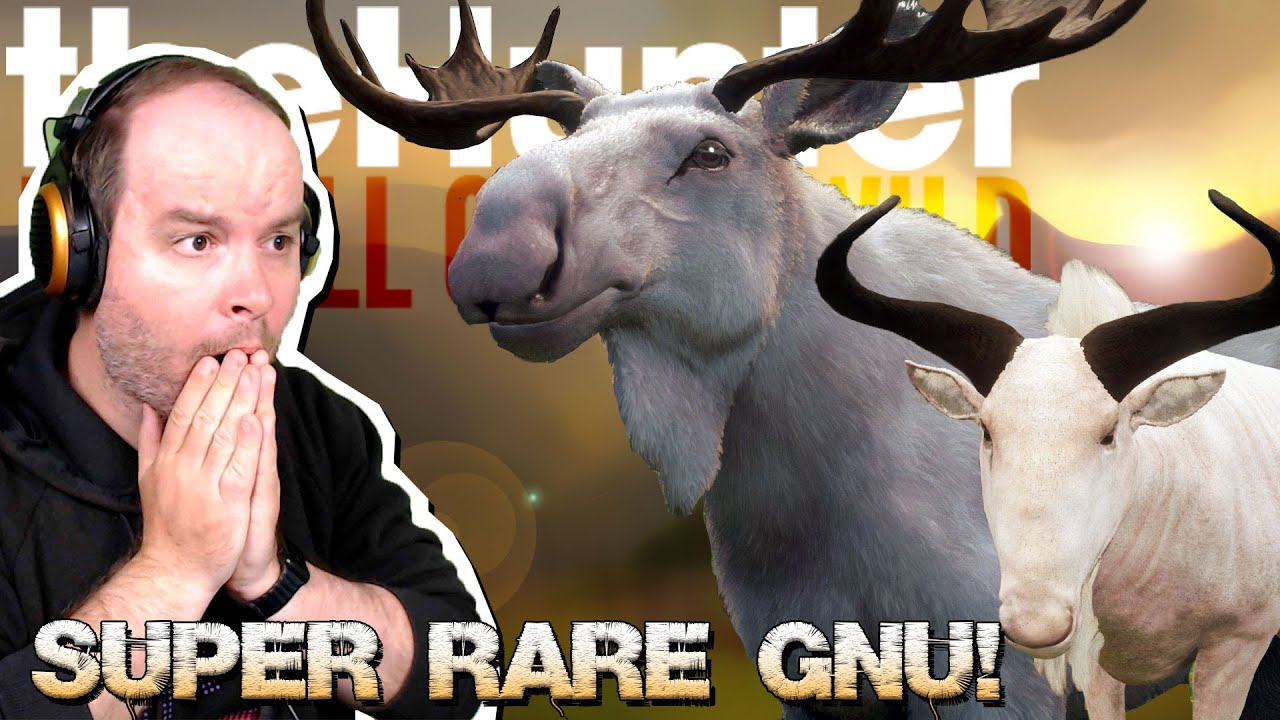 Unfassbar! Super Rare Gnu im Trophy Lodge React! | theHunter Call of ...