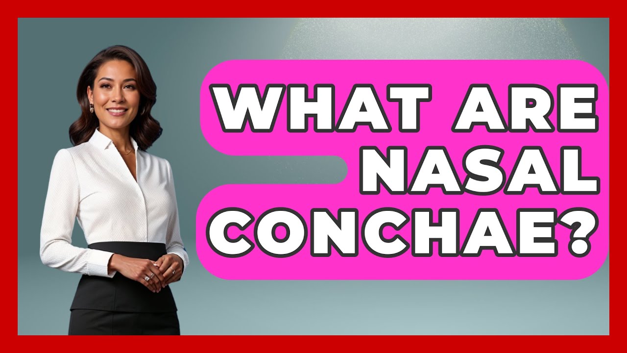 What Are Nasal Conchae? - Ear Nose Throat Expert - YouTube