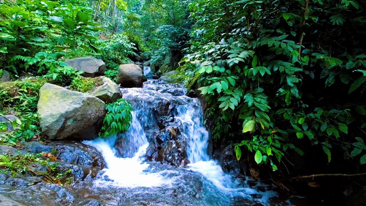 Relaxing River Flow in Nature with Peaceful Water Ambience for Deep ...